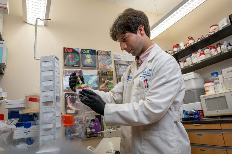 $1 Million Bet on a Cure: Reprogramming the Immune System To Stop Type ...