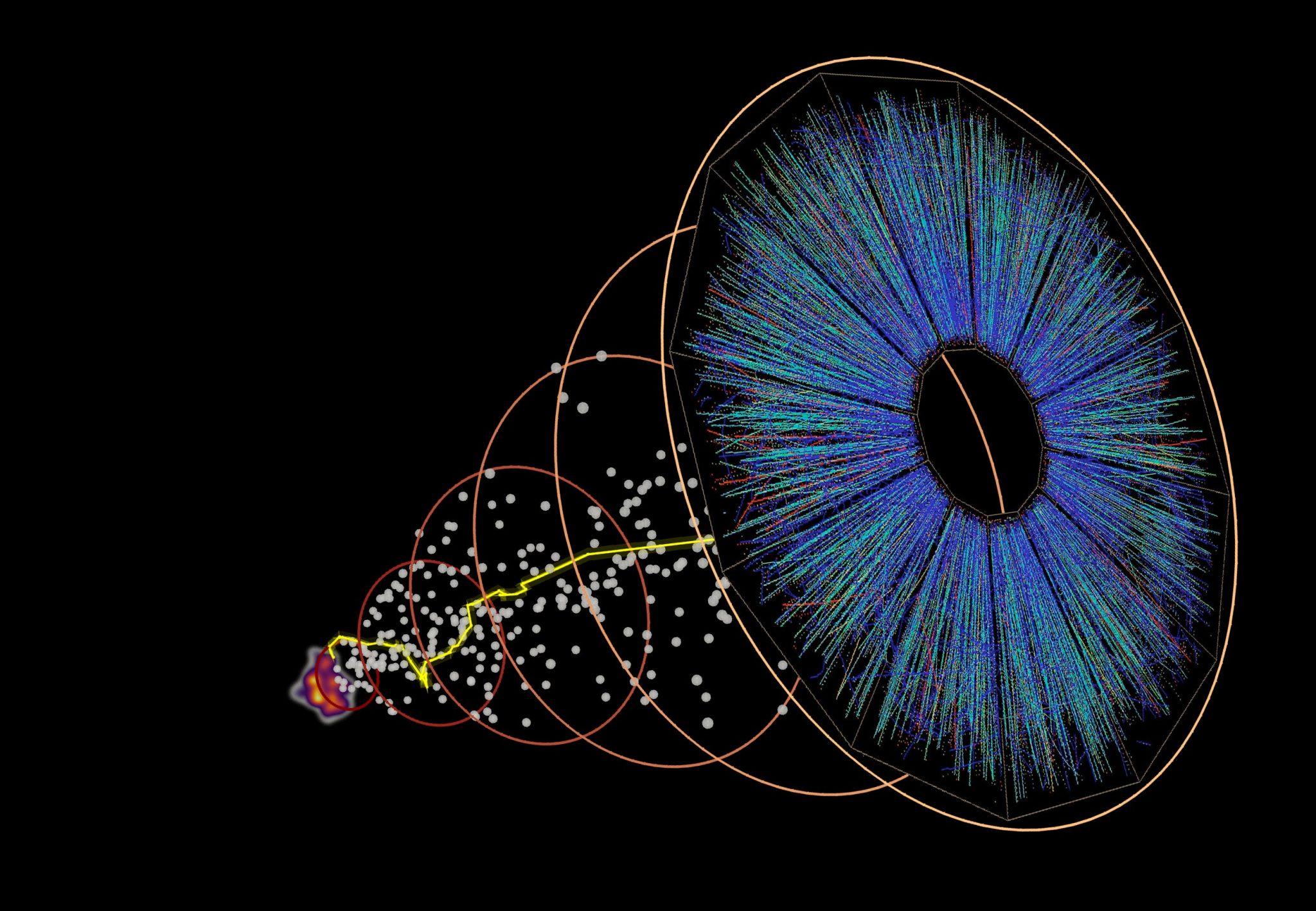 This Strange Motion Keeps Appearing Everywhere – Even in High-Energy ...