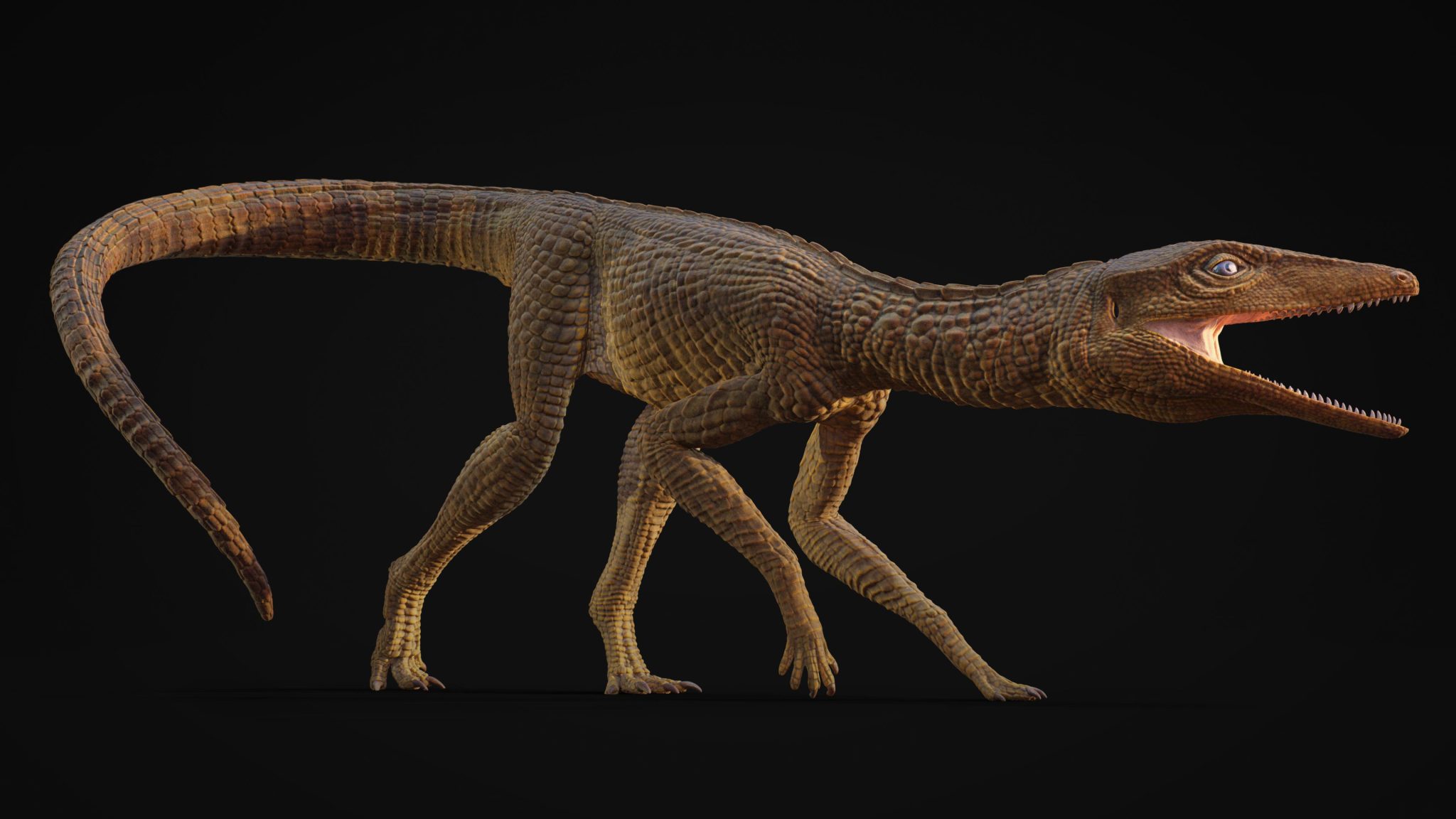 Scientists Discover Unusual Long-Legged Ancient Crocodile From 200 ...