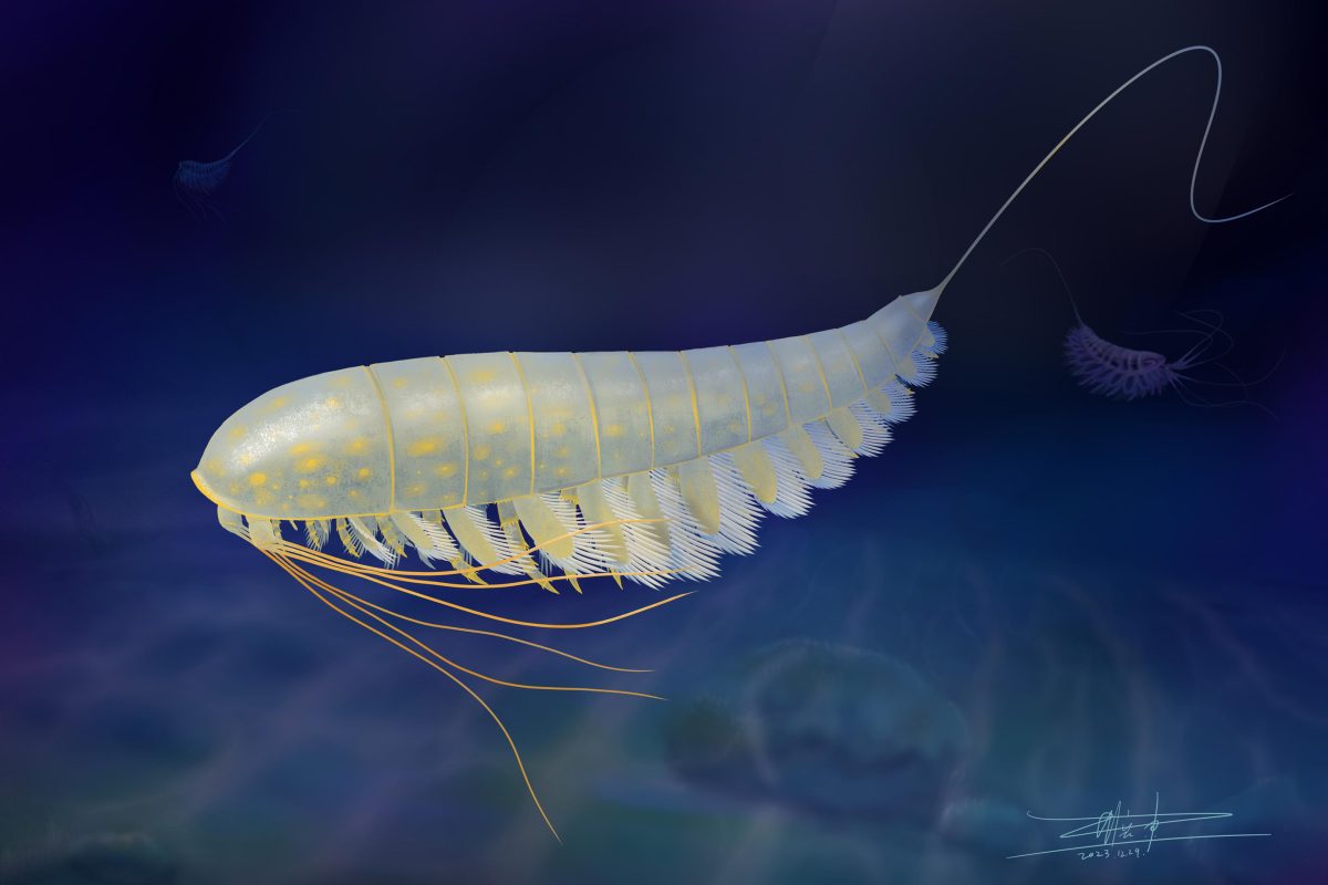 Golden Discovery: Ancient Bug Unearthed in New York After 450 Million Years