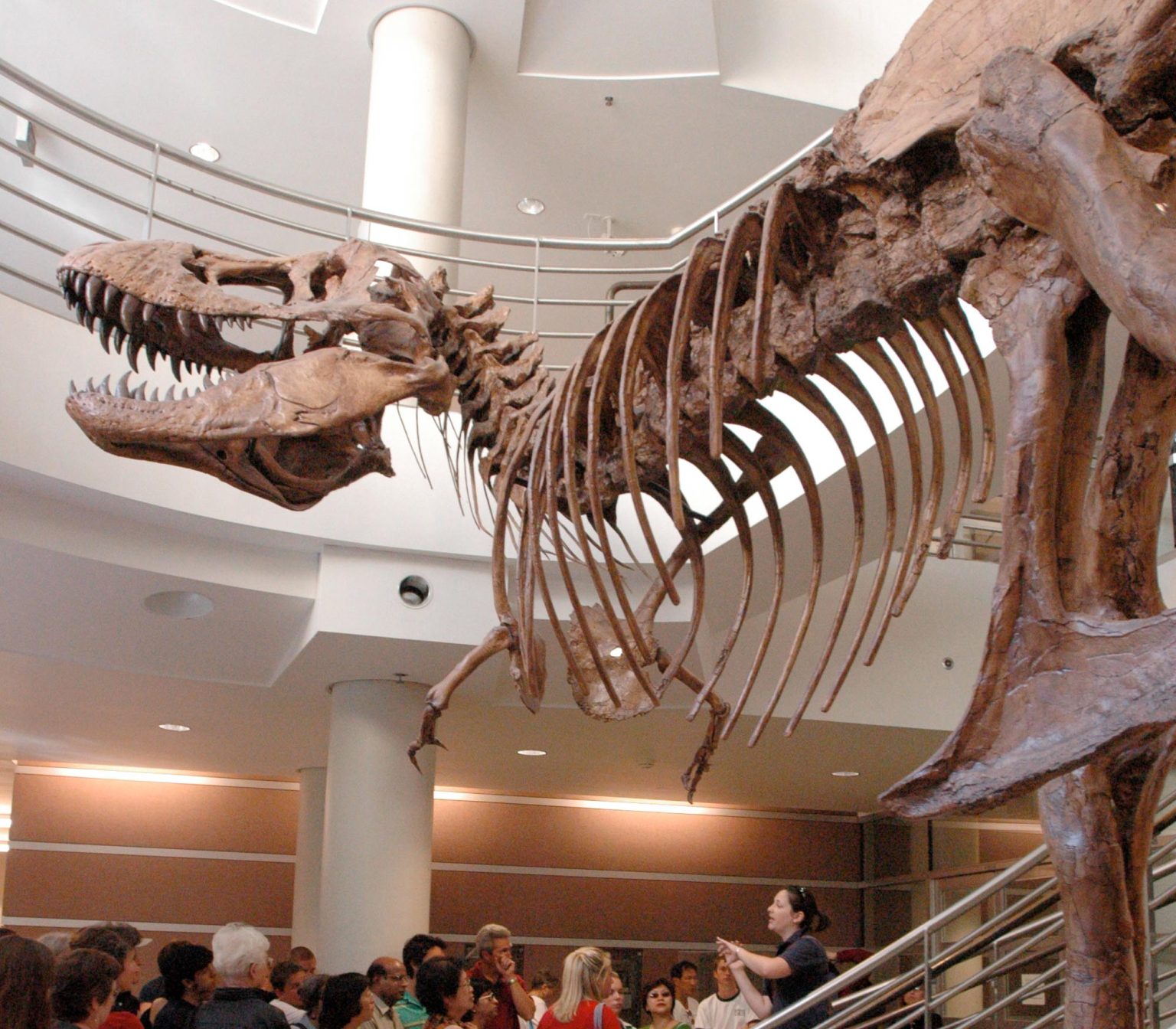Paleontologist’s New Theory for Why T. rex Had Such Ridiculously Short Arms