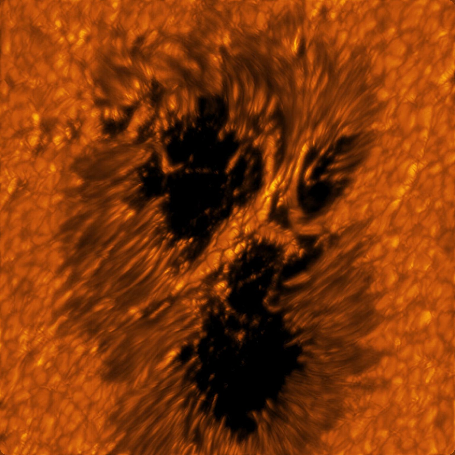 Incredibly Detailed Close-Ups of the Sun From Earth’s Most Powerful ...