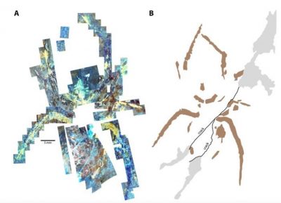This Ancient “Giant Spider” Fossil Surprised Paleontologists ...