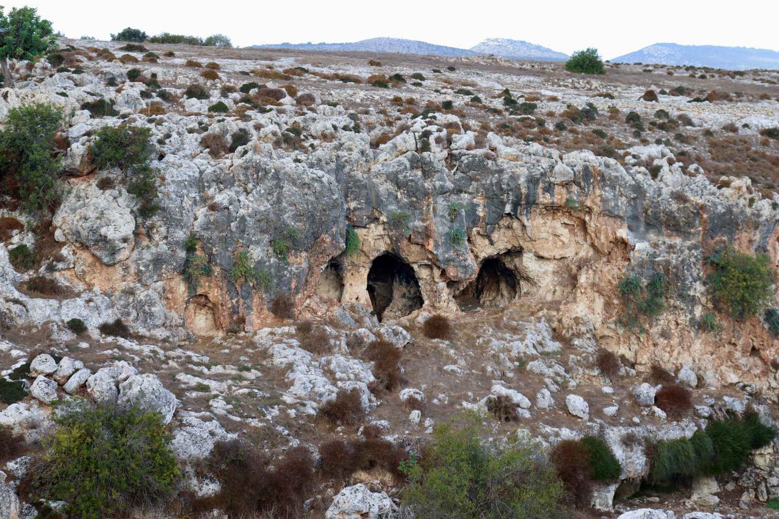 Mystery Solved: Why Did Cyprus’ Dwarf Elephants and Hippos Suddenly Disappear?