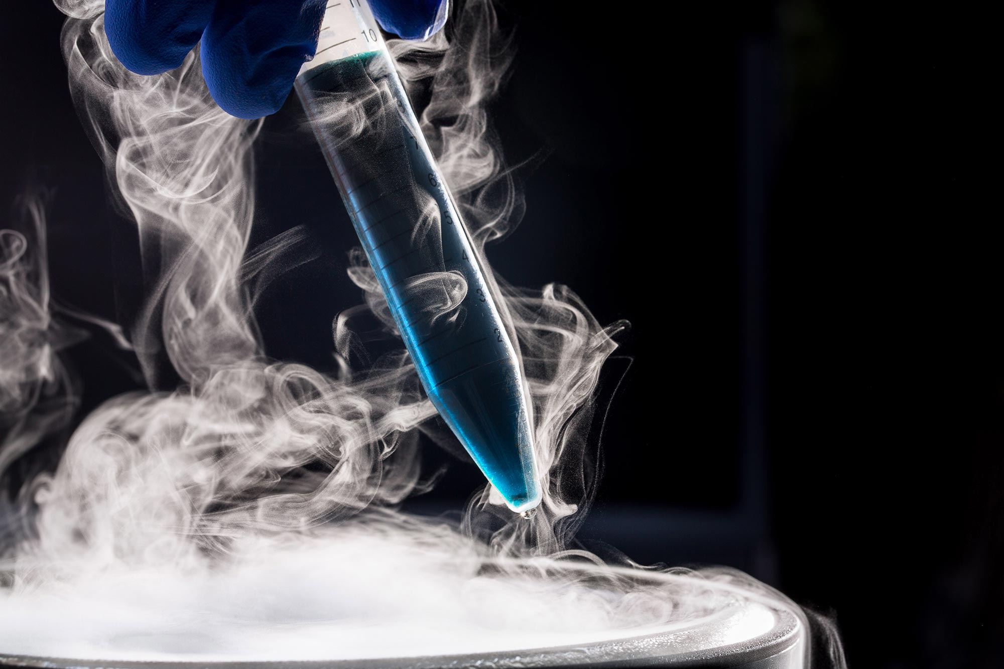 New Polymers Protect Cryogenically Preserved Cells From Damaging Ice ...