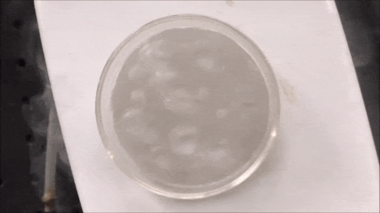 Rare Nitrogen Molecule Discovery Offers Clues to Life-Supporting Planets