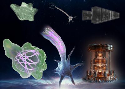 Scientists Just Discovered Quantum Signals Inside Life Itself