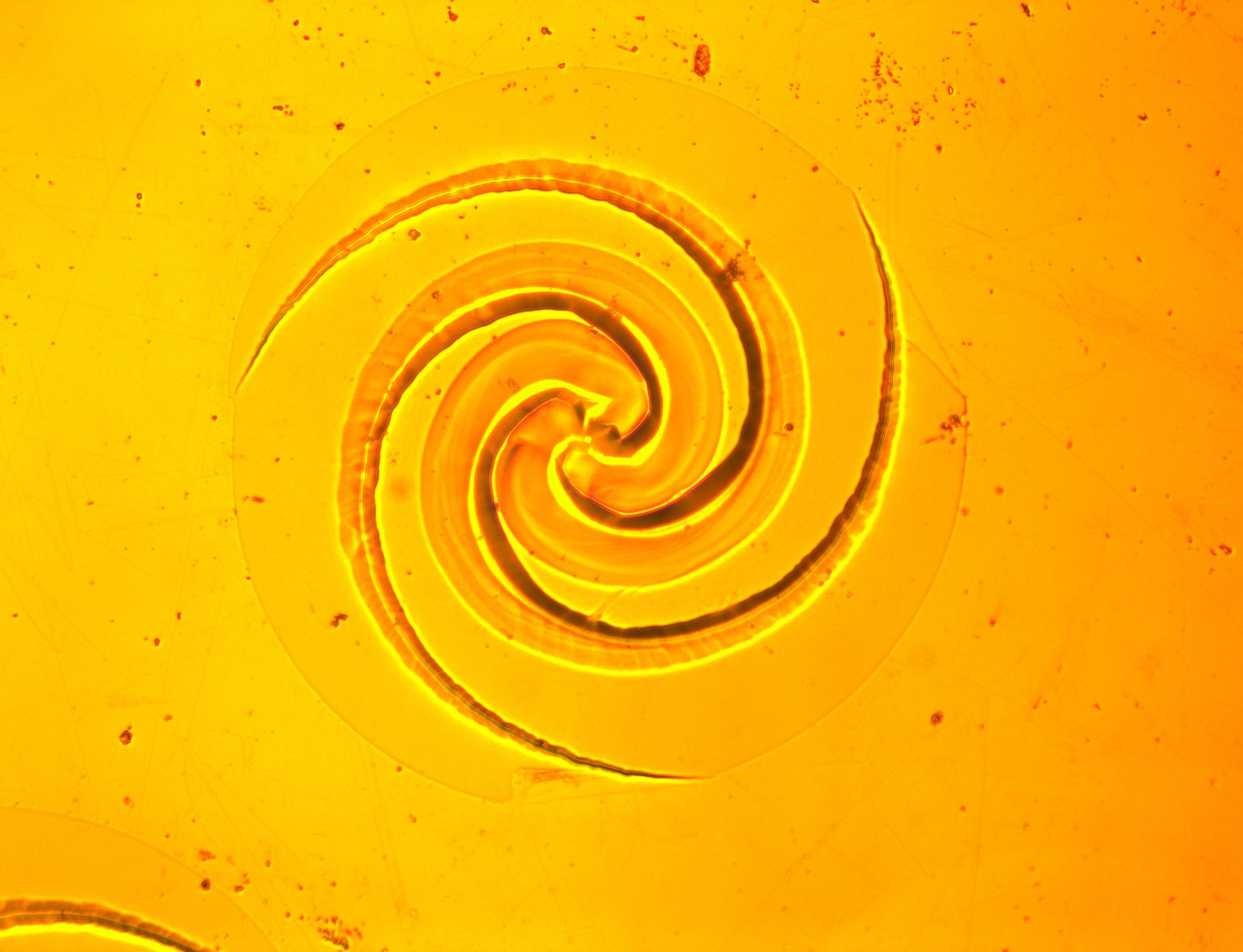 Never-Before-Seen: UCLA Physicists Discover Mysterious Spiral Patterns ...