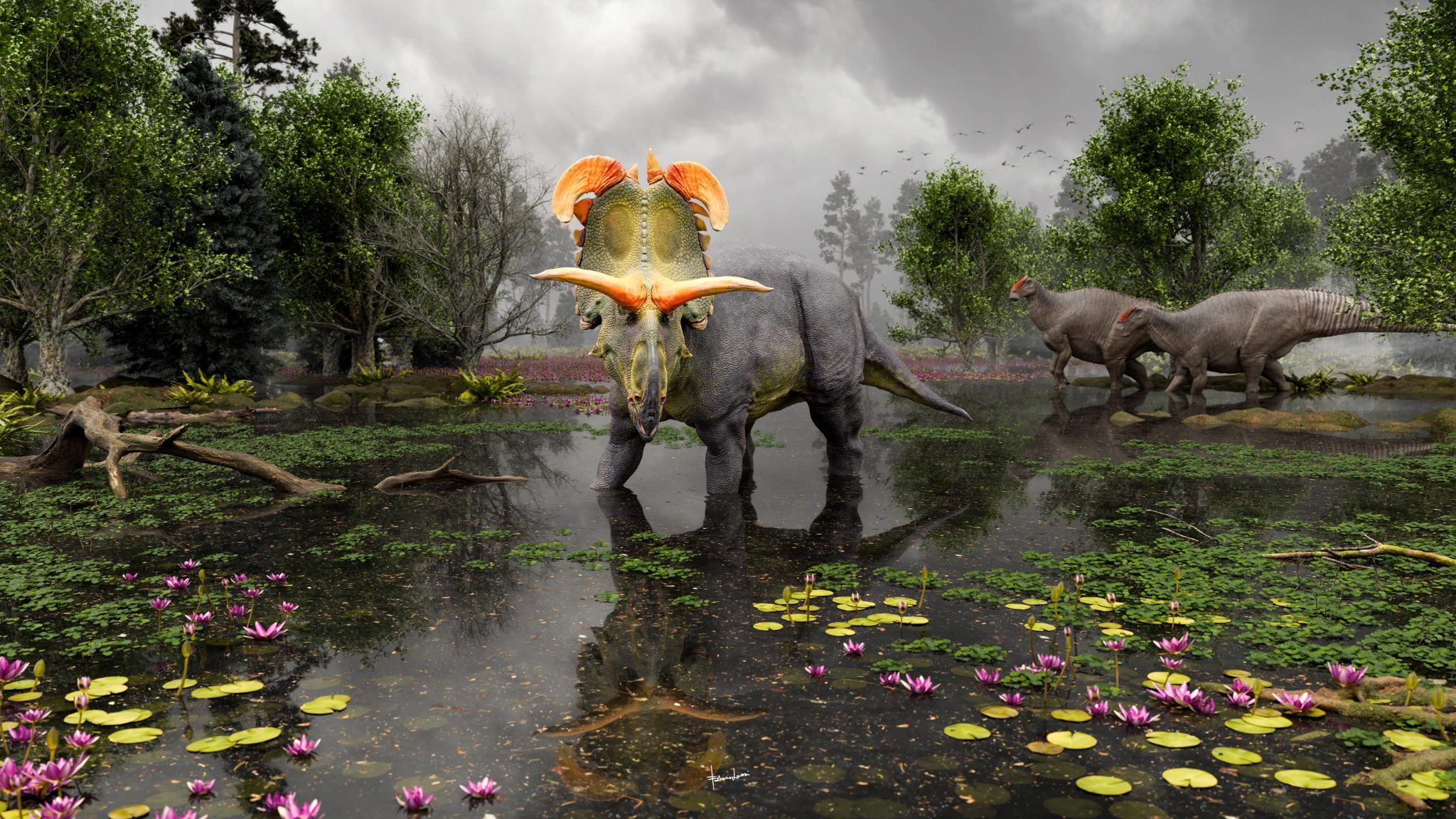 Meet Lokiceratops: New Dinosaur Wields Spectacular Blade-Like Horns