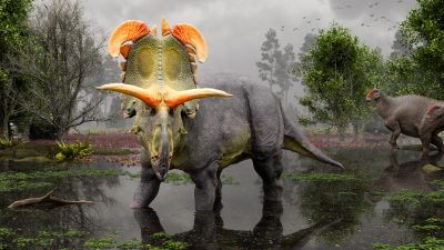 Giant Horned Lokiceratops: Remarkable New Dinosaur Unearthed in the ...