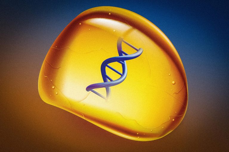 Jurassic Park in Real Life: MIT Creates Synthetic Amber for DNA Storage