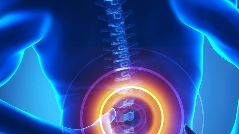 How To Ward Off Bone, Joint, and Muscle Pain Due to Aging