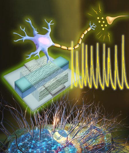 Scientists Create Artificial Neuron That “Speaks” the Language of the Brain