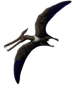 Cretaceous Period Pterosaur Discovered in Northeast China