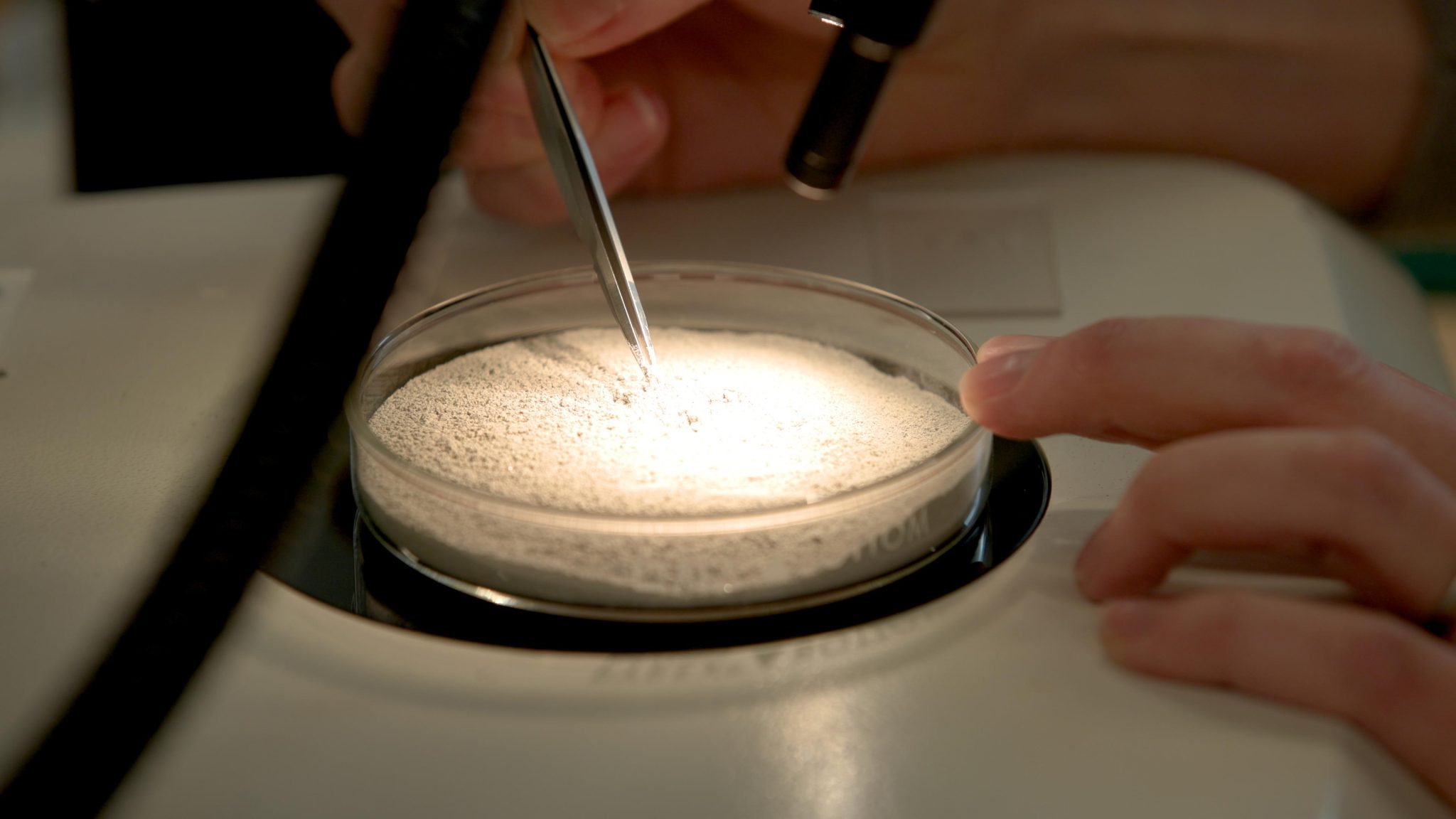 From Astronaut Bootprints to Lunar Blueprints: The Future of Moon ...