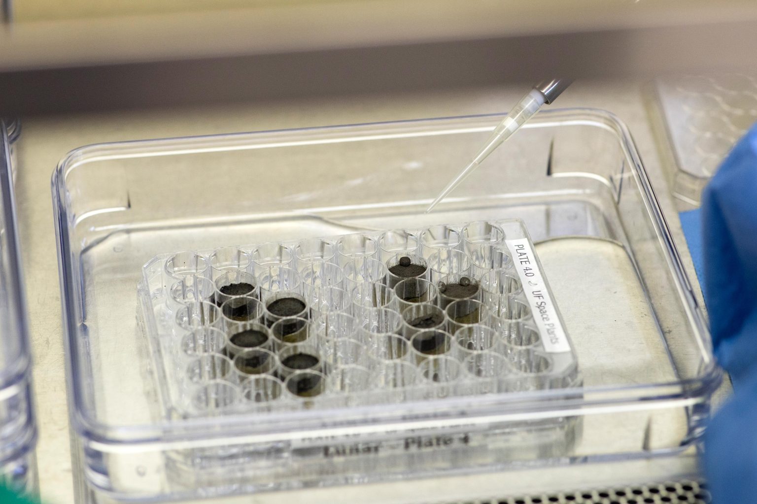 For the First Time Ever, Scientists Grow Plants in Lunar Soil