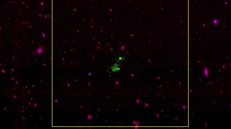 Lyman-Alpha Blobs are Some of the Largest Individual Objects in the Observable Universe