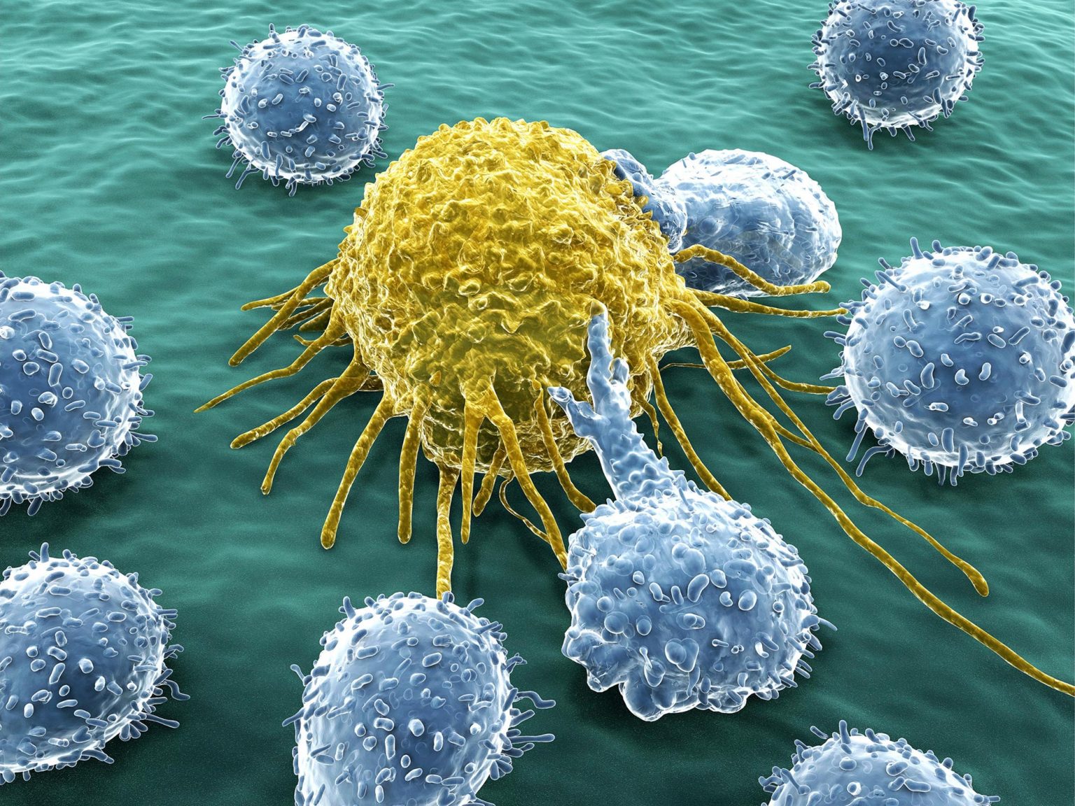 Recently Discovered Molecule Kills Hard-To-Treat Cancers