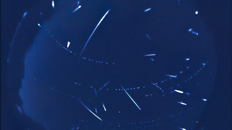 Mars Reconnaissance Orbiter Views Wind Carved Rock on Mars