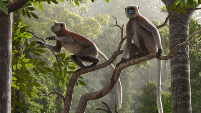 Monkeys Experience the Uncanny Valley Effect, Just Like Humans