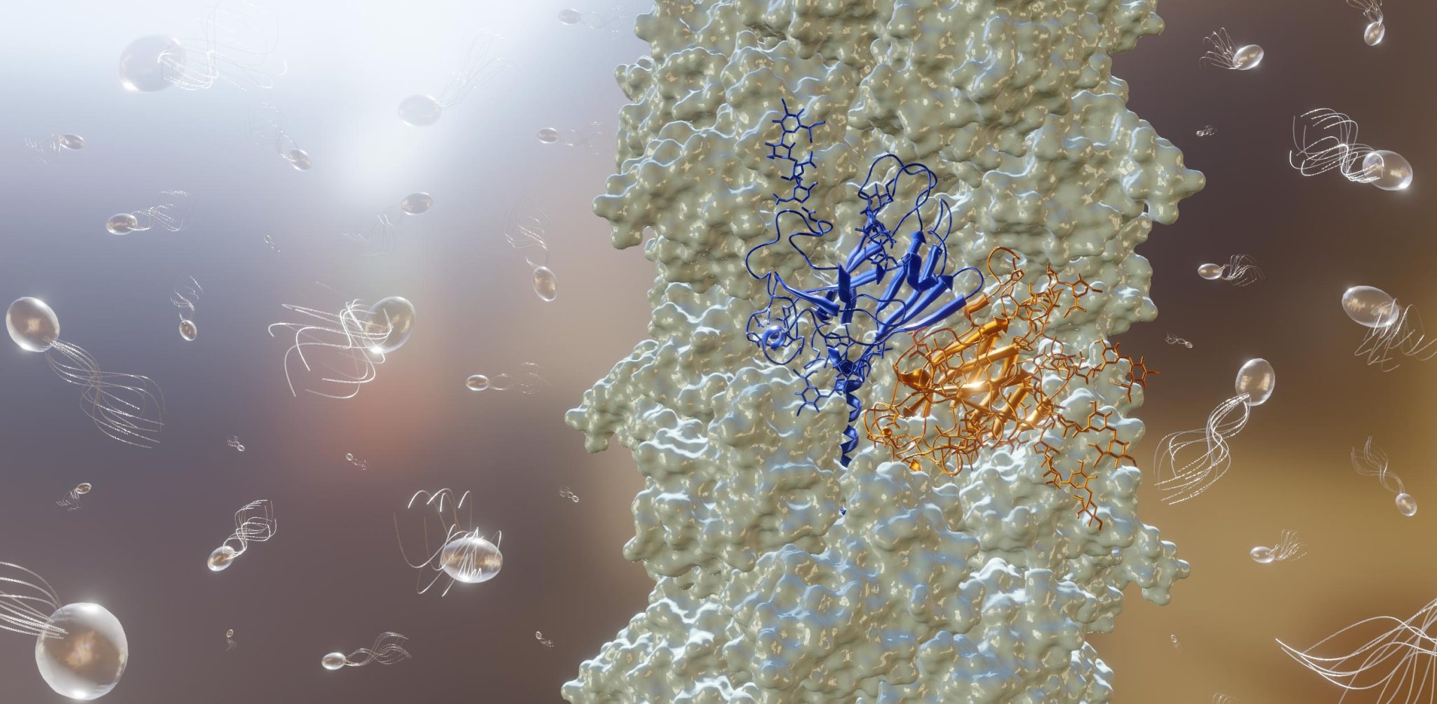 Biologists Investigate Smallest Propeller on Earth – Used by One of the ...