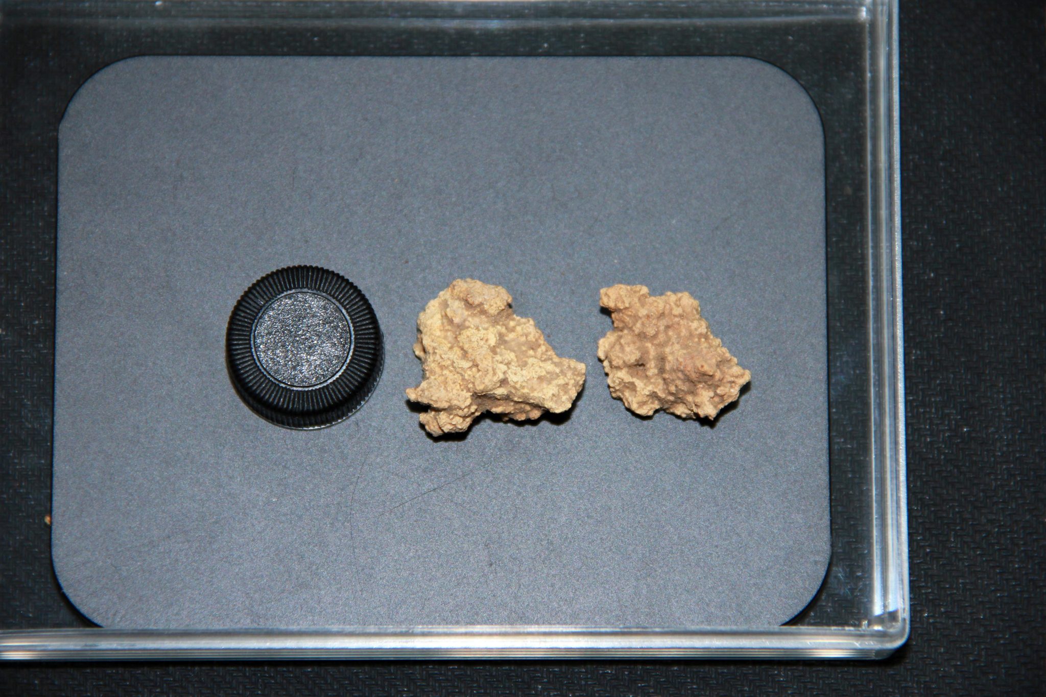 Ancient DNA Reveals Secrets of Bronze Age Cheese Making