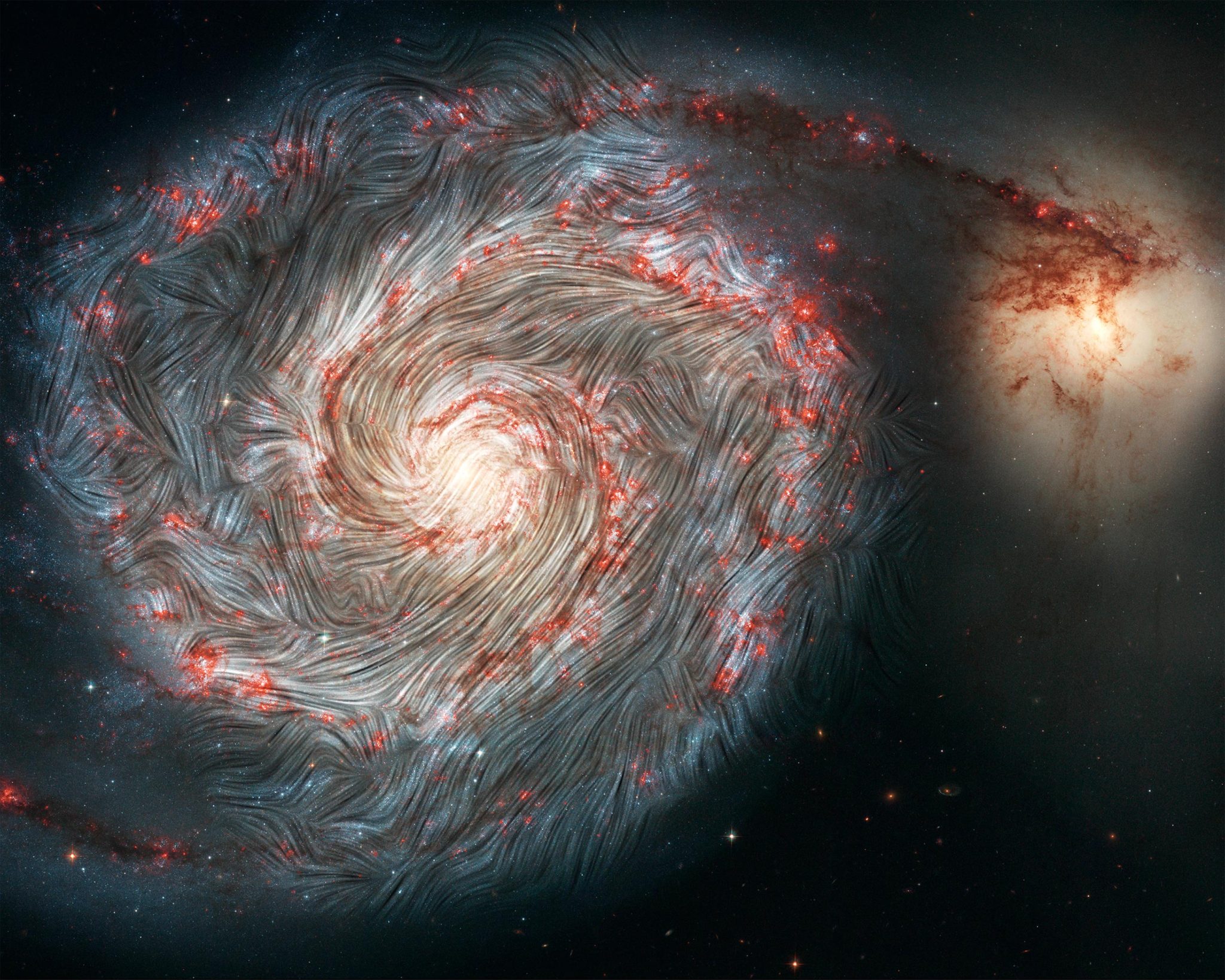 Turbulent Plasma: Uncovering the Source of the Universe’s Magnetic Fields