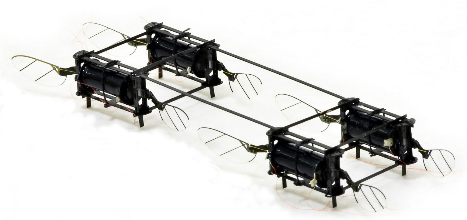 Insect-Inspired Flying Robots: Researchers Introduce a New Generation ...