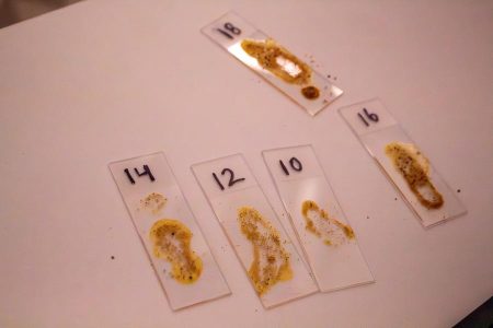 MIT Students Revolutionize Coffee Brewing With Cutting-Edge Science