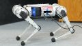 “Cheetah-Cub Robot” Runs Like a Cat