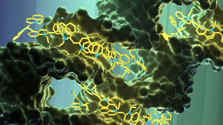 Synthetic Biology Circuits Perform Logic Functions and Remember the Results