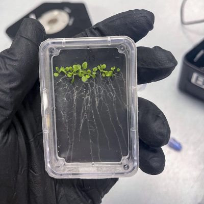 Check Out the Amazing Science Experiments Riding to Space Station ...