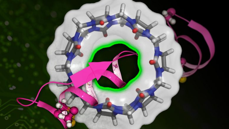 Machine Learning Accelerates Drug Formulation Development, Changing the ...