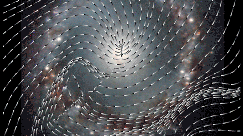 Electromagnetic Field Gif