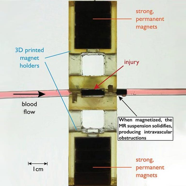 Extending Trauma Patients’ Survival Time With Injection of Magnetizable ...
