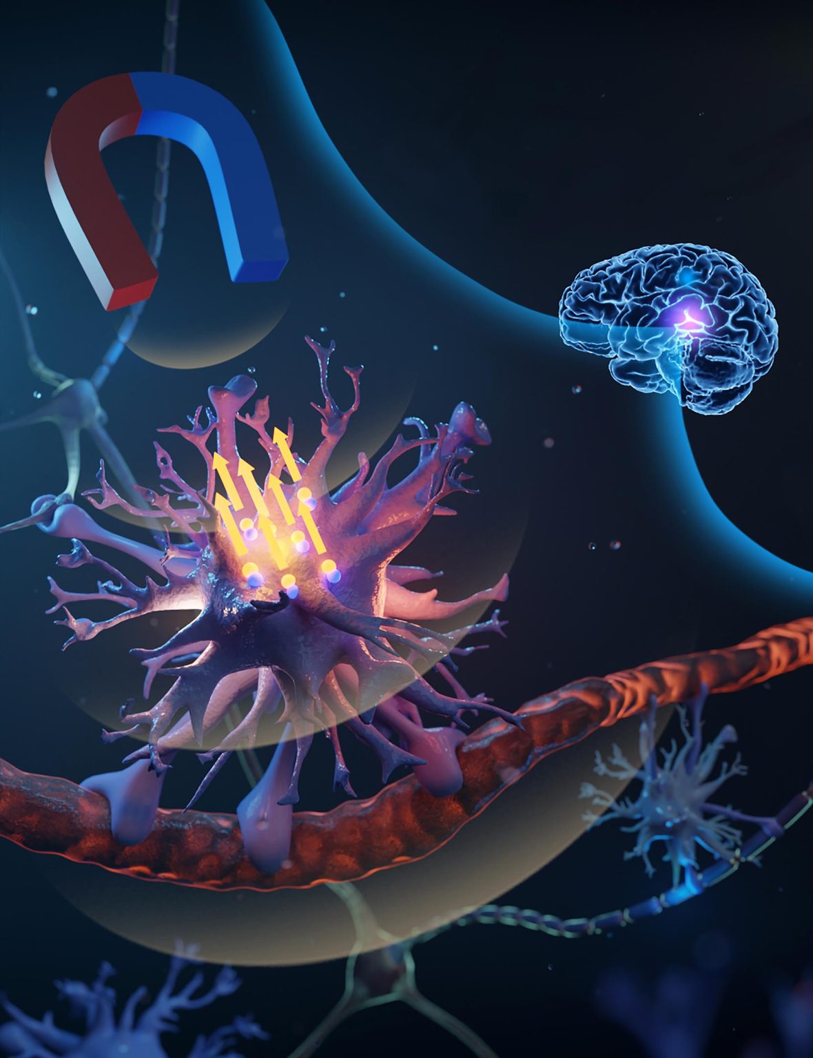 Scientists Use Micromagnets to Remote Control Brain Cells