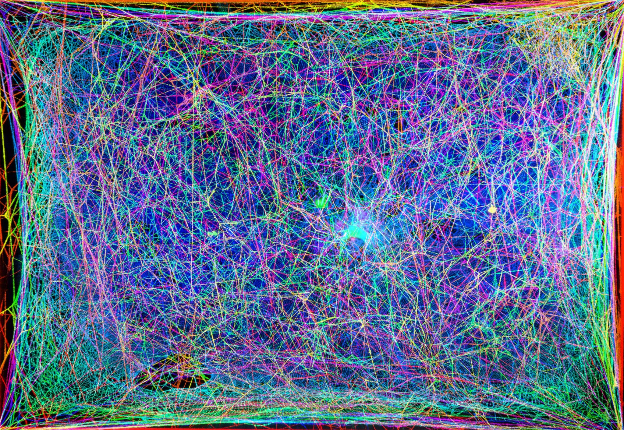 MIT Scientists Translated the Structure of a Spider Web Into Music ...