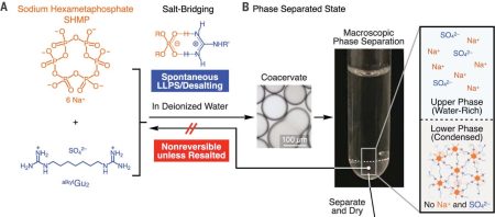 Goodbye Microplastics: New Recyclable Plastic Breaks Down Safely in ...