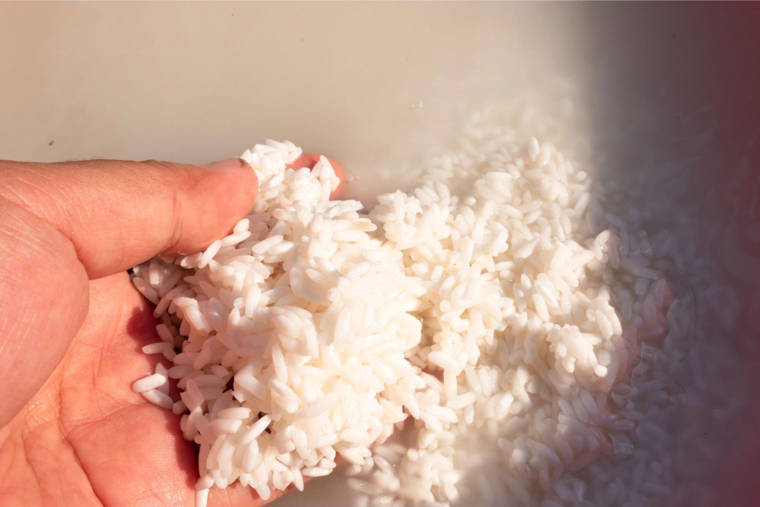 Researchers Discover Longevity-Boosting Compounds in Traditional Rice ...
