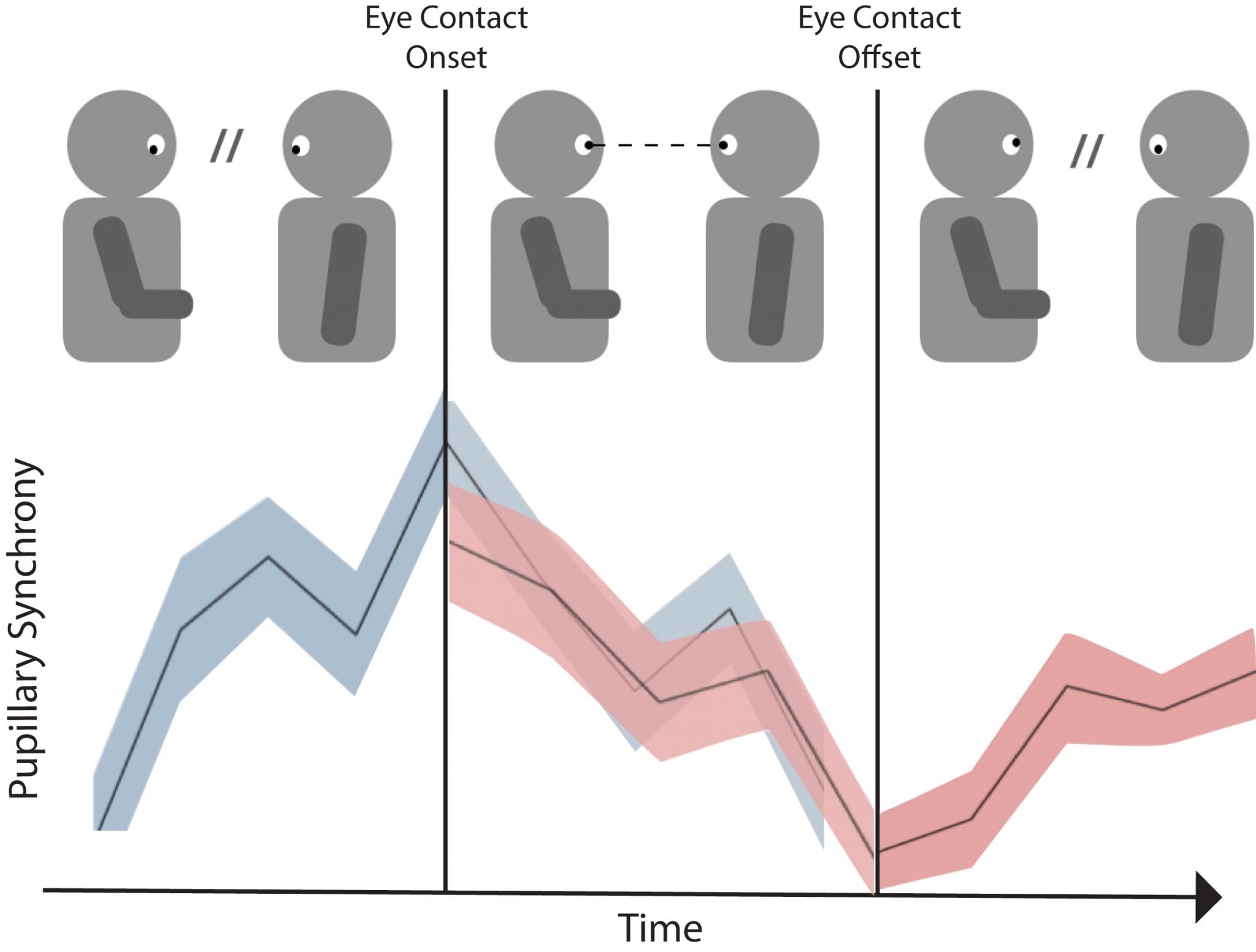 Making (and Breaking) Eye Contact Repeatedly Makes Conversation More ...