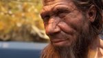 Unveiled by Ancient DNA: The True Timeline of Human-Neanderthal ...