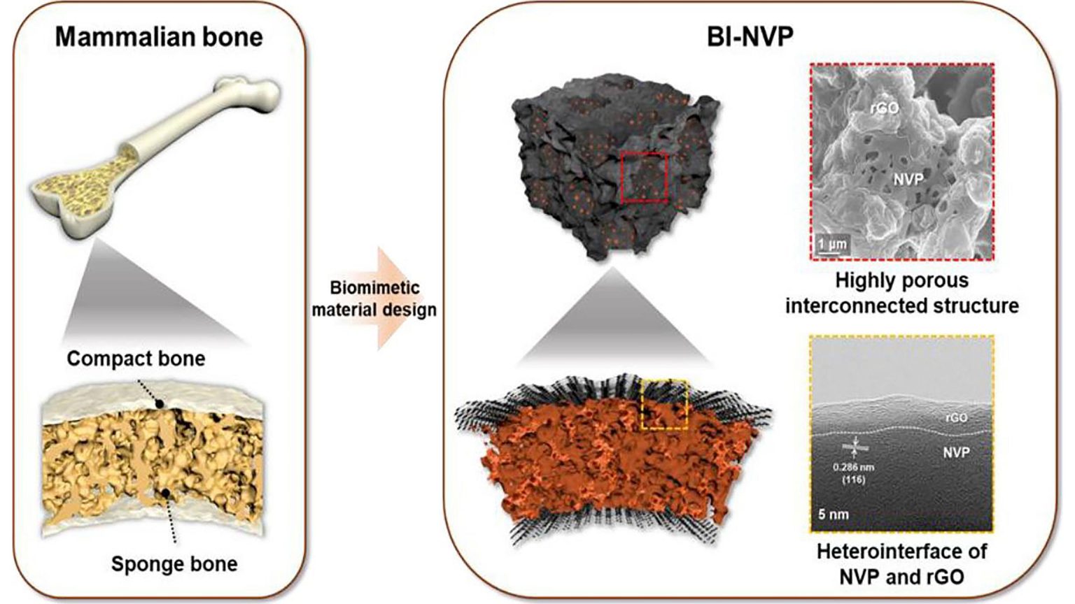 Batteries Mimic Multilayer Geometry of Mammal Bones for Structural ...