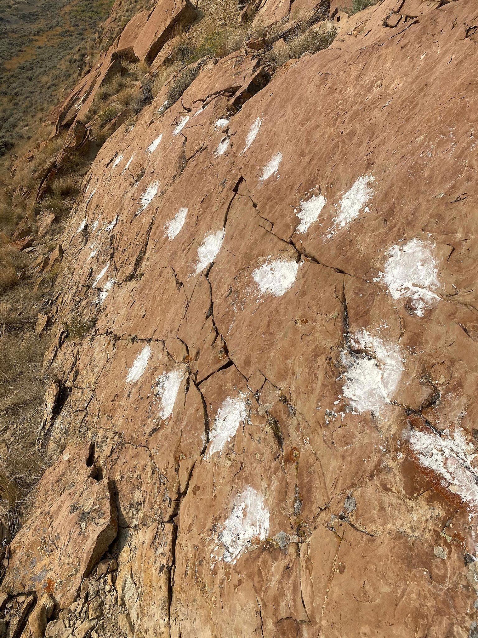 Prehistoric Fossilized Footprints Show Earliest Known Evidence of ...