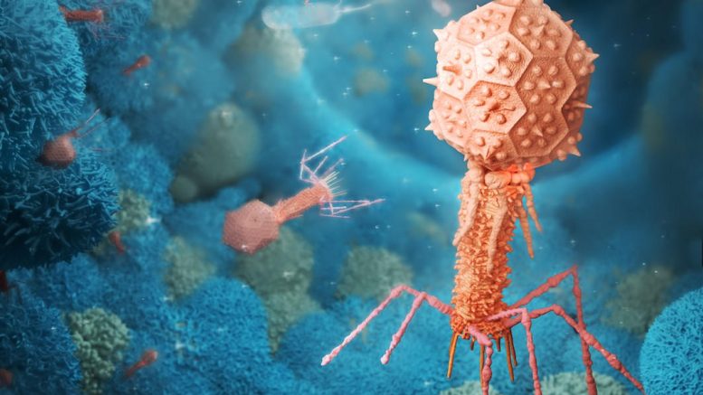 Understanding Antibiotics and Their Role in Killing Bacteria