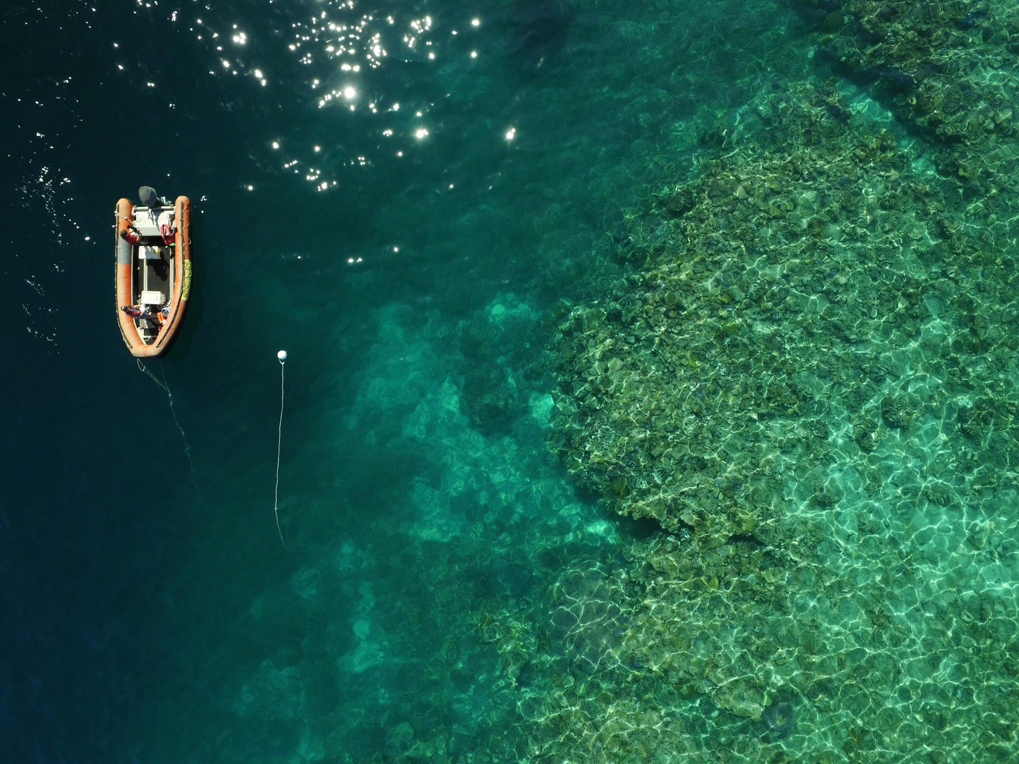 Highest Coral Cover in Central, Northern Great Barrier Reef Since ...
