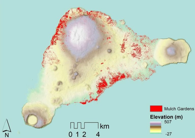 Popular Myth Debunked: New Findings Rewrite Easter Island’s History