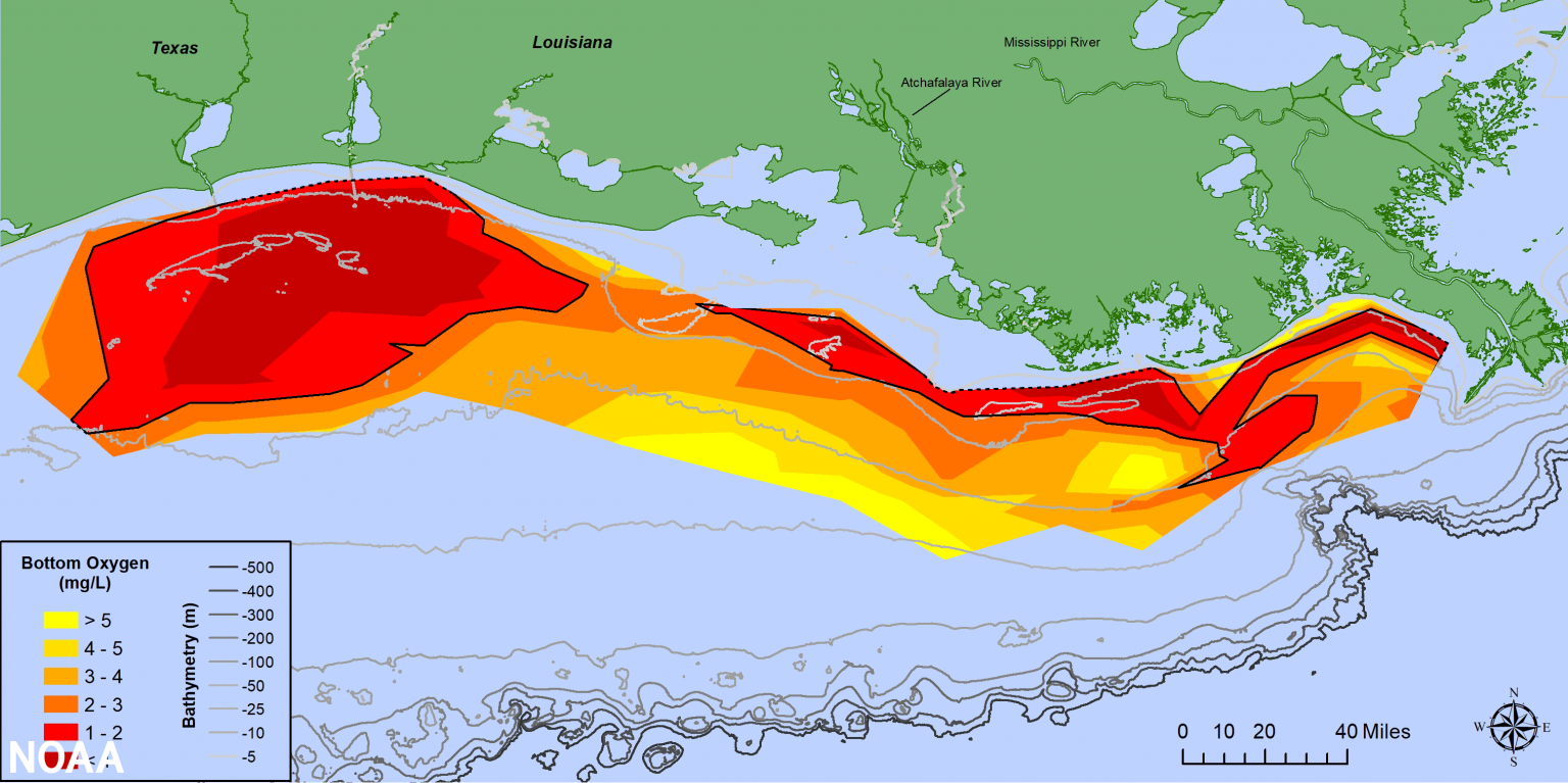Large Gulf of Mexico “Dead Zone” Measured – Area of Low to No Oxygen ...