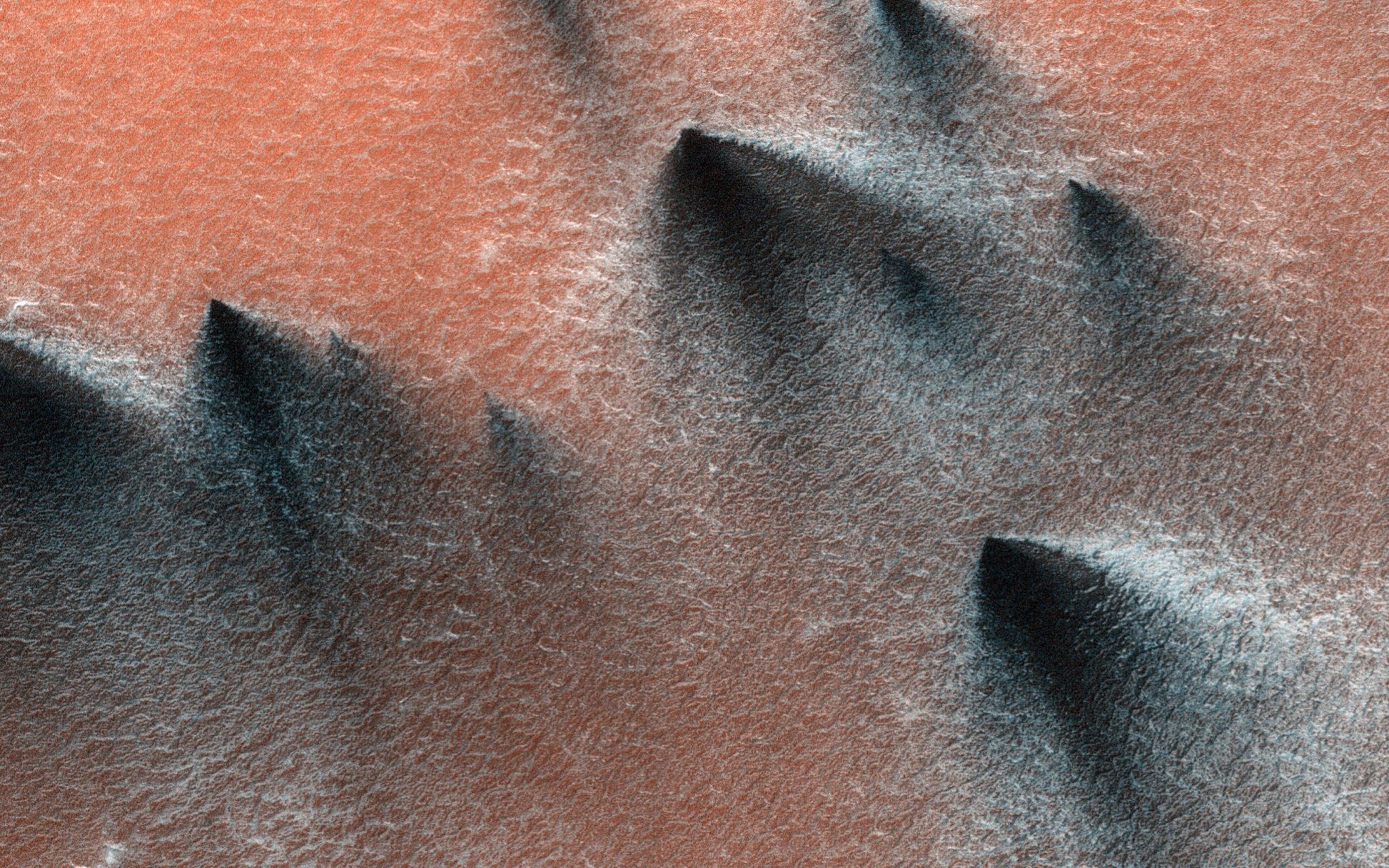 Mars Awakens for the New Year: Explosive Springs and Wandering Dunes