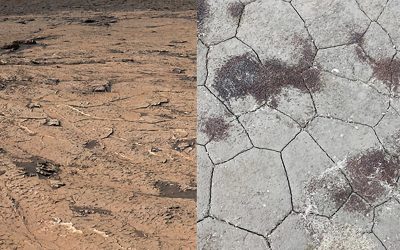 Mars’ Muddy Mystery: Did the Red Planet Once Have Seasonal Weather?