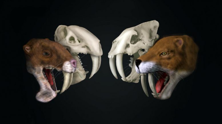 Fang-Tastic Findings: Study Unveils the Science Behind the Bite of ...